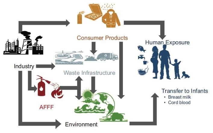 What does the work of Clean Production Action mean to Black communities ...
